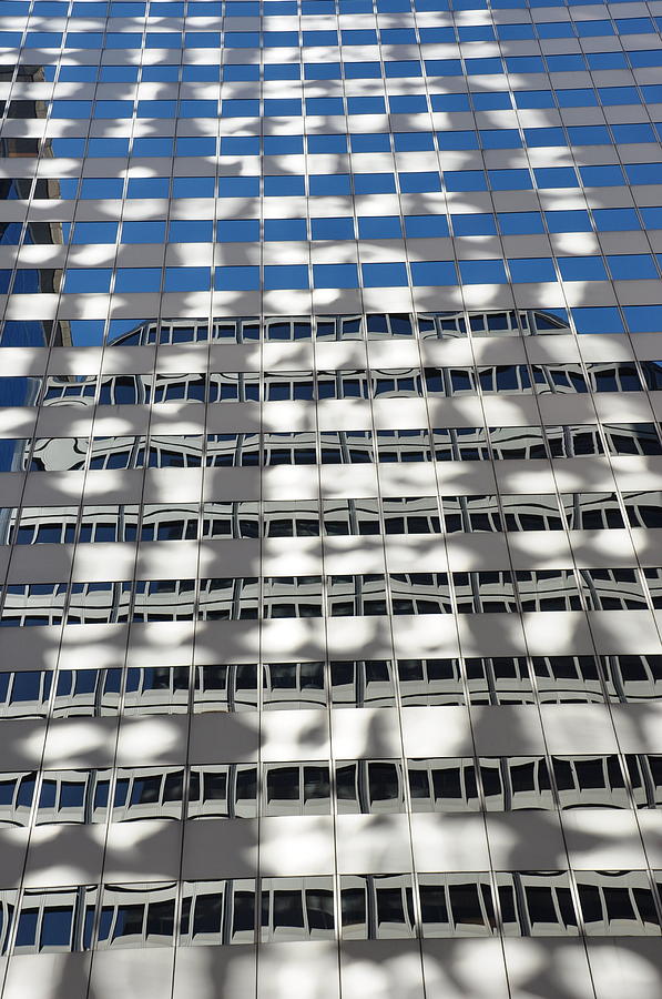 Sun Splatter Photograph by David Flitman - Fine Art America