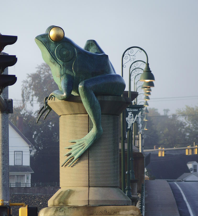 Sunbathing Frog Photograph by David Gonzalez - Fine Art America