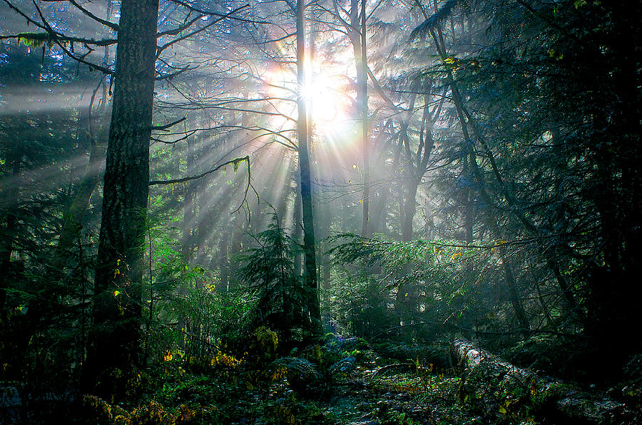 Sunburst Photograph by Jerry Druhan - Fine Art America