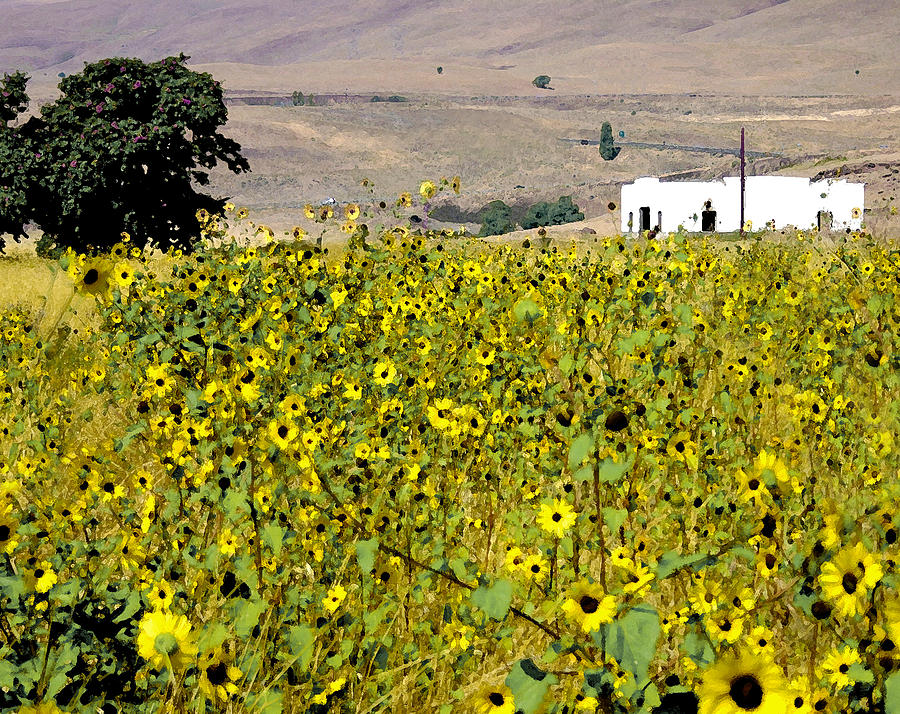Sunflowers Photograph by Wendy Raatz Photography - Fine Art America