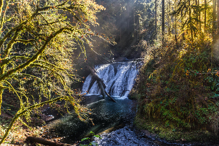 Sunlight Waterfall Pyrography by Scott Sutton - Pixels