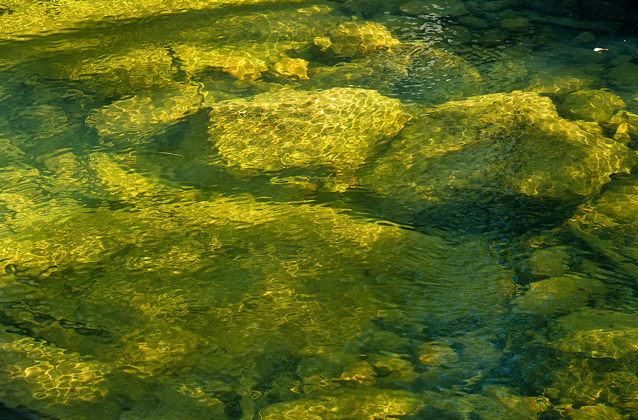 Sunlit streambed Photograph by Rob MacArthur - Fine Art America