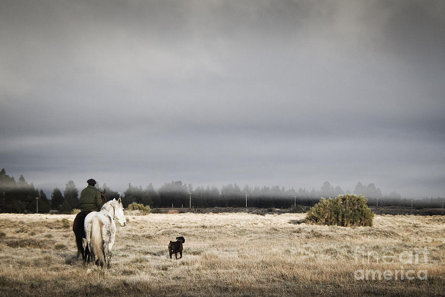 Sunrise in the patagonian steppe Photograph by Lucas Guardincerri ...