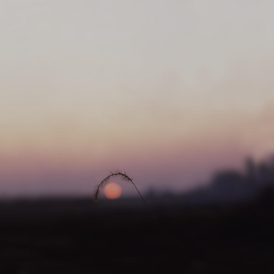 Sunset 2 Photograph by David J Plank - Fine Art America
