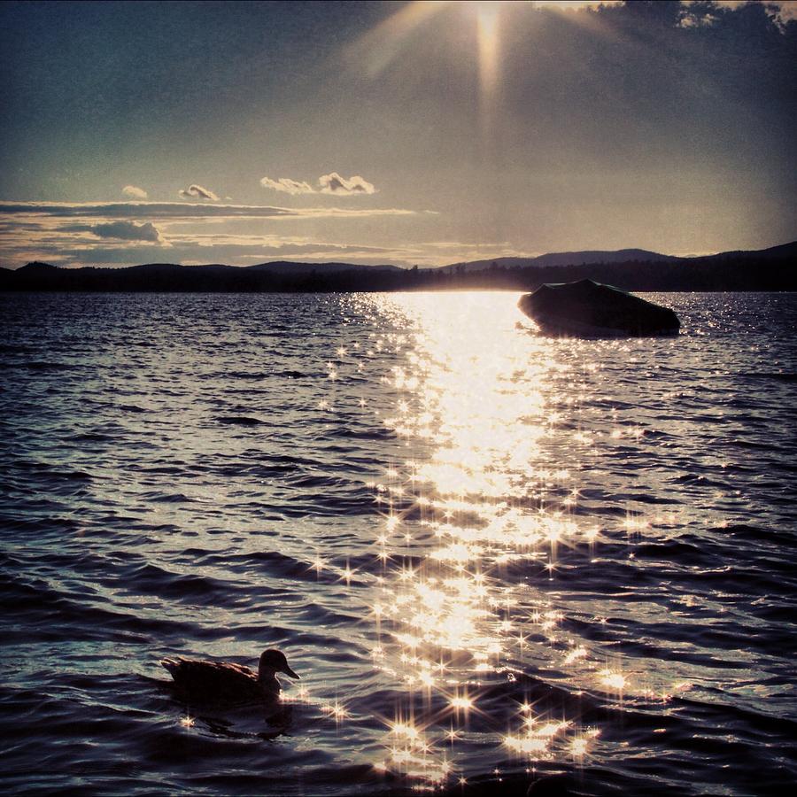 Sunset Photograph by Angela Garrison - Fine Art America