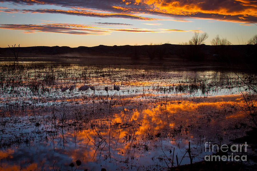 Sunset at the Flight Deck Photograph by Michael Trahan - Fine Art America