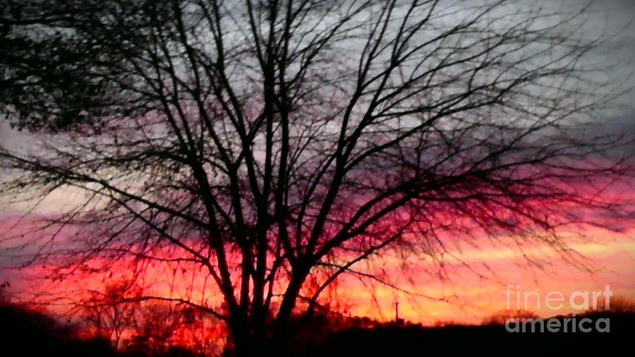 Sunset Before Storm Photograph by Marlene Williams - Fine Art America