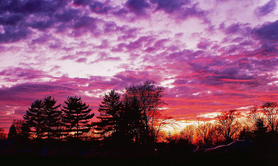 Sunset Photograph by Dave Smith | Fine Art America