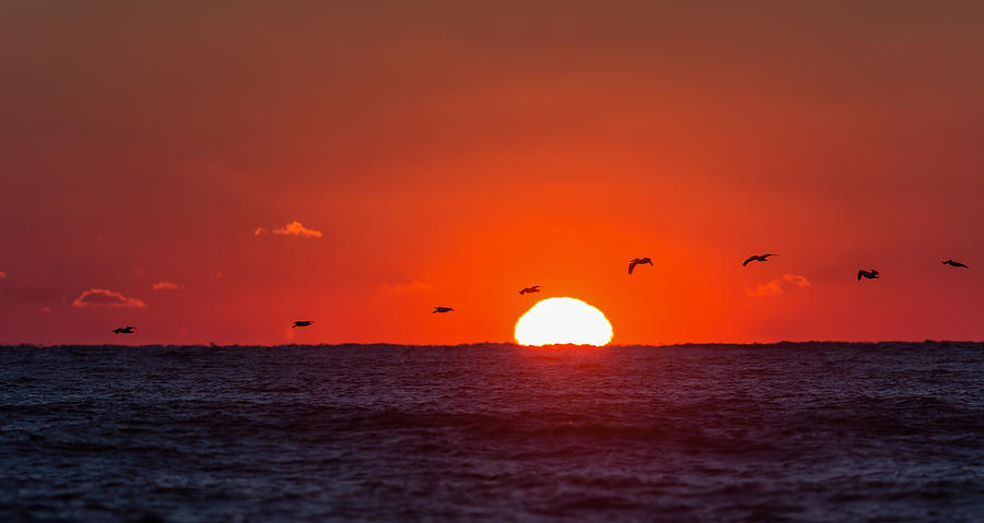Sunset Photograph by David Faison - Fine Art America