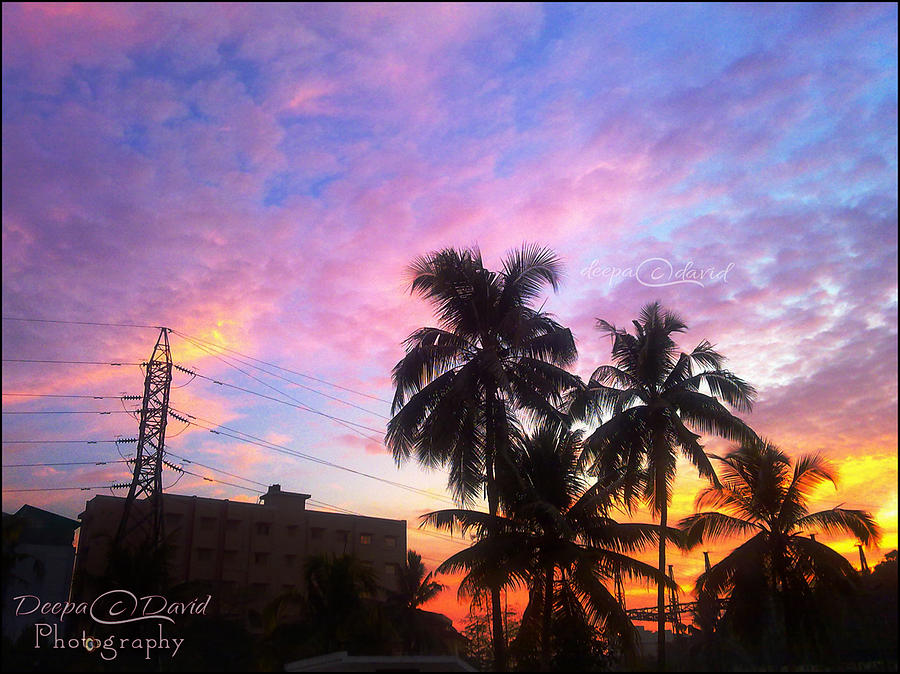 Sunset Hues Pyrography by Deepa David - Fine Art America