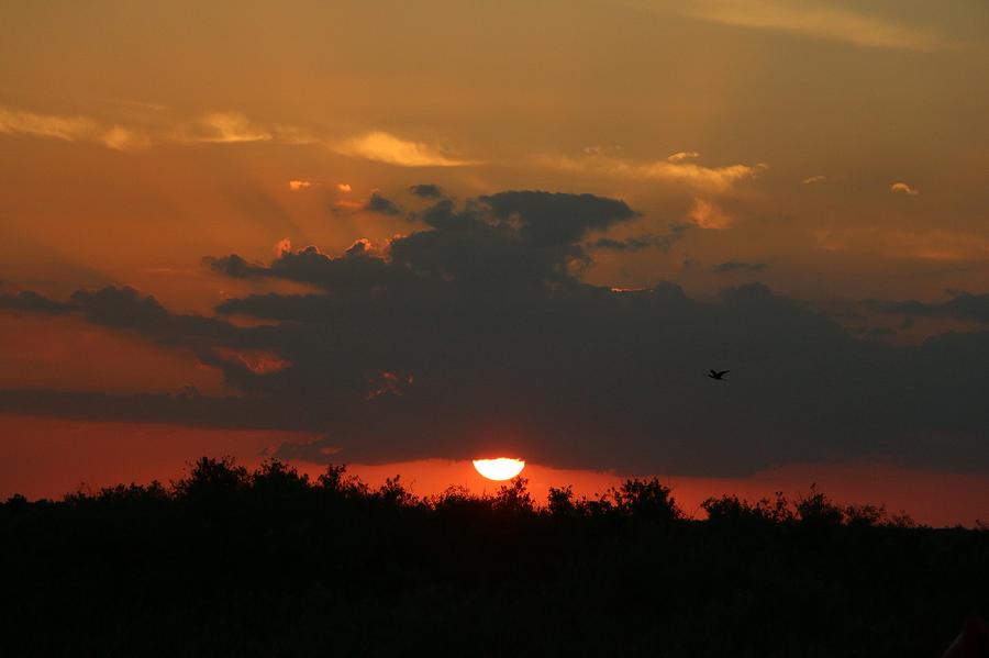 Sunset Pyrography by La Porta - Fine Art America