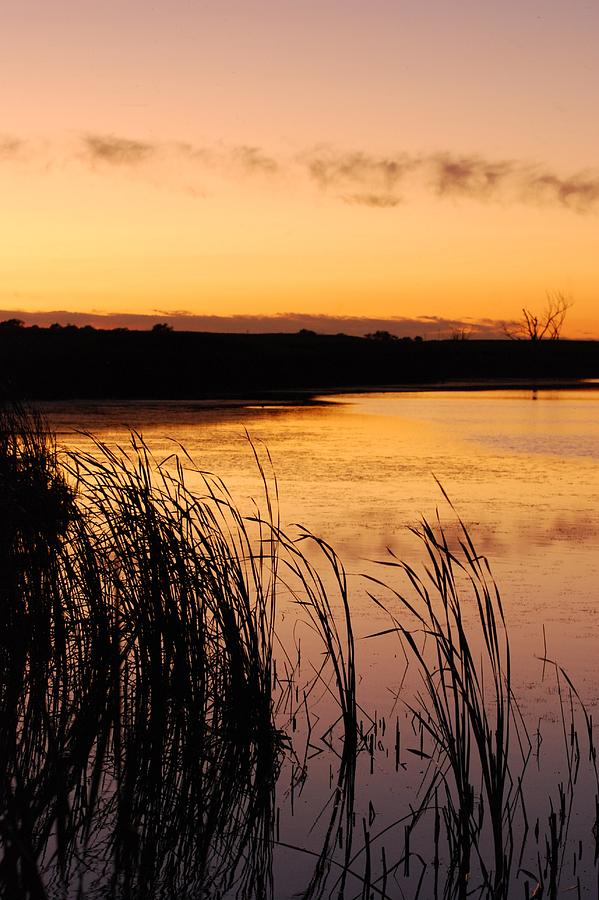 Sunset Marsh Photograph by Nick Smith - Fine Art America