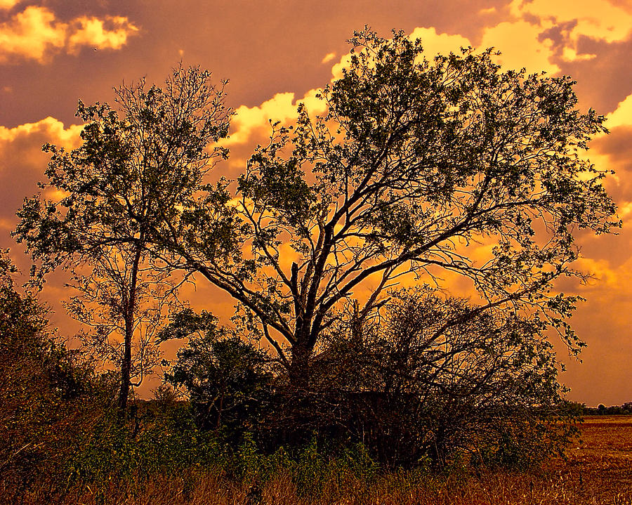 Sunset on the Range Photograph by Linda Phelps - Fine Art America