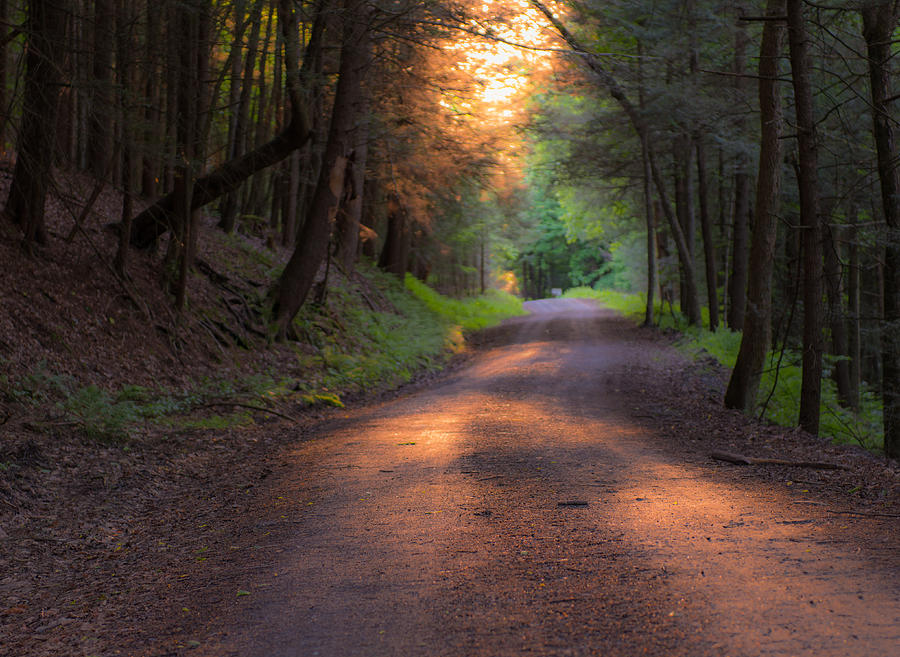 Sunset Path Photograph by Scott Hafer | Fine Art America