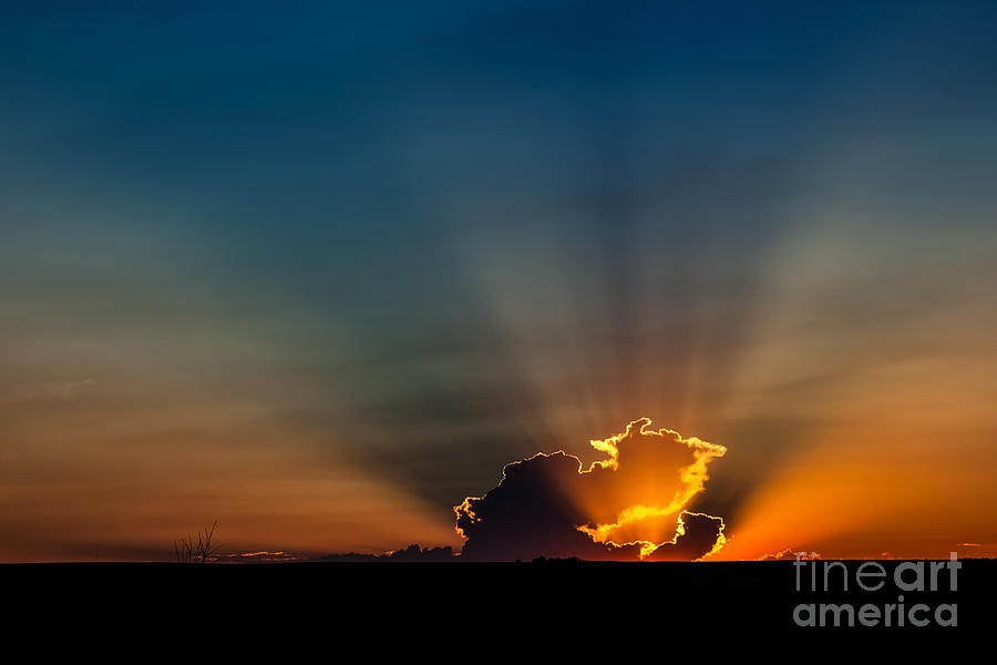 Sunset rays Photograph by Marko Korosec - Fine Art America