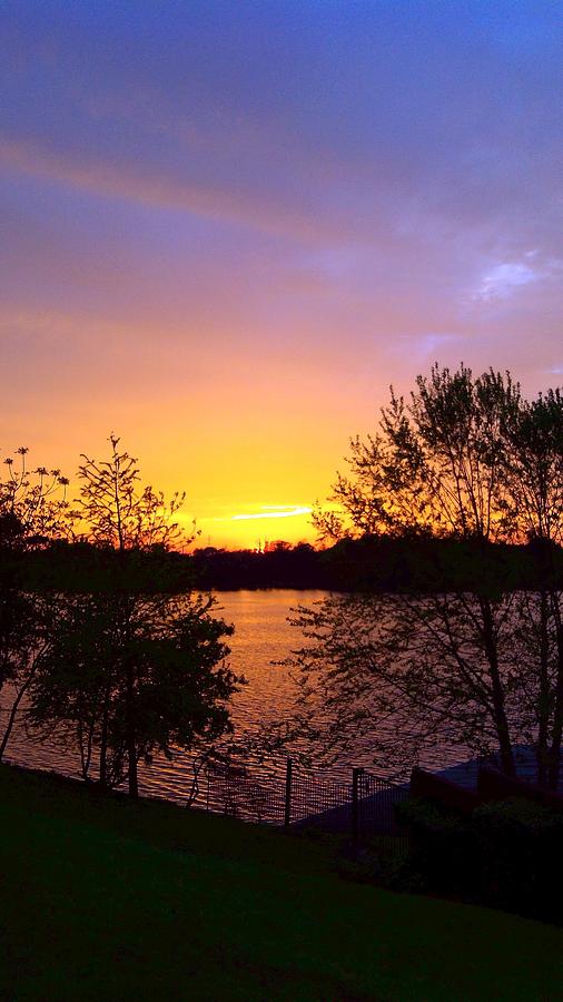 Sunset Shadows Photograph by Sheila Blackburn - Fine Art America