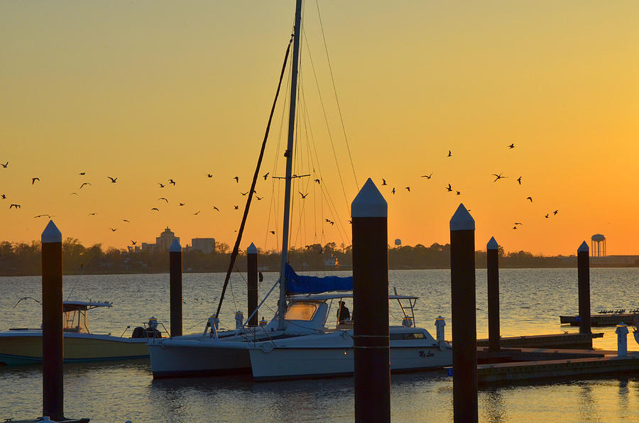Sunset Pyrography by Shelly Van Camp