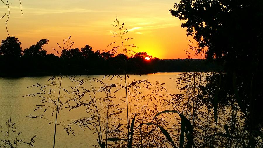 Sunset Solitude Photograph by Pamela Morgan - Fine Art America
