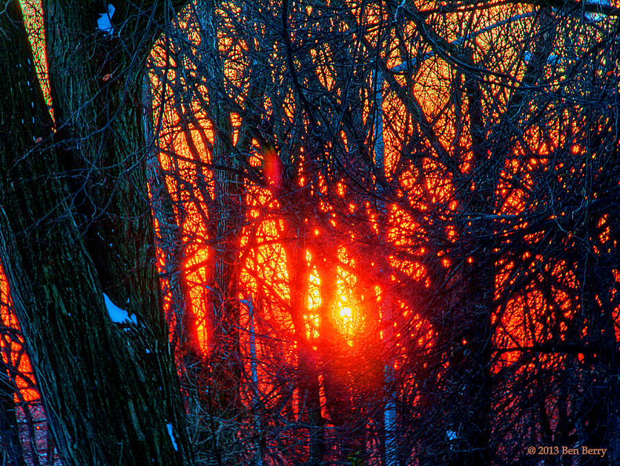 Sunset through forest Digital Art by Ben Berry - Fine Art America