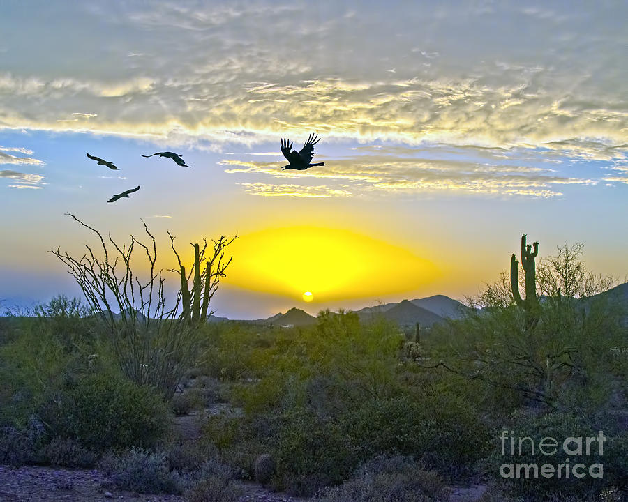Sunset with Crows Photograph by Brian Lambert - Fine Art America