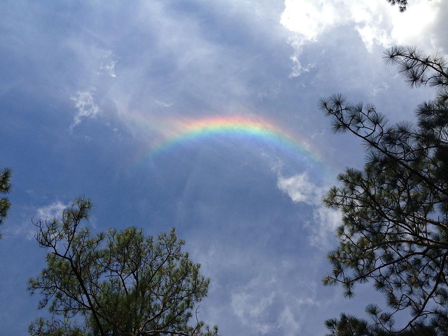 Super Rainbow Photograph by Ron Hedges