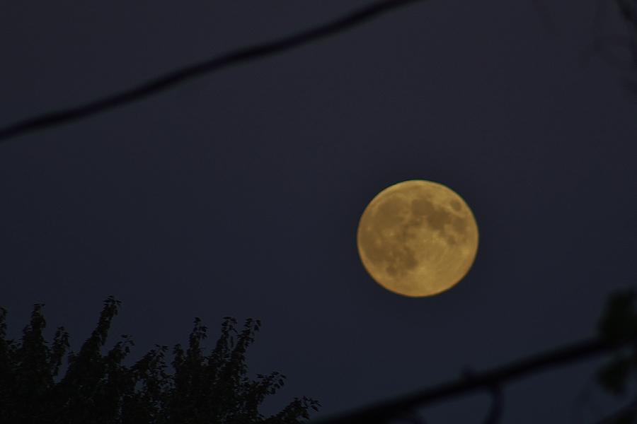 Supermoon Photograph by Devin Francis - Fine Art America