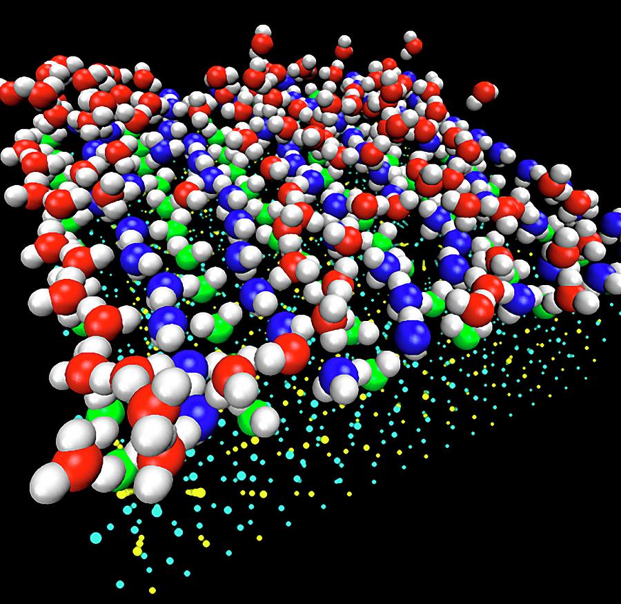 Surface Water On Catalyst Photograph by Ornl/science Photo Library ...