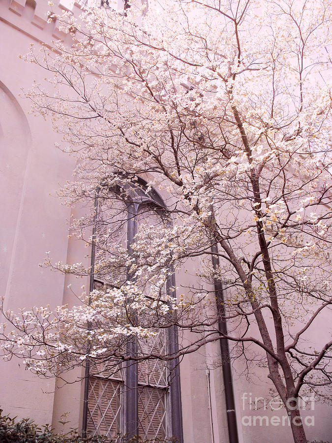 Surreal Dreamy Church Window With Pink Trees Photograph by Kathy Fornal ...