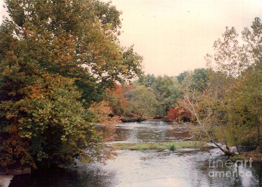 Swamp In Fall Photograph by Debbie Wassmann - Fine Art America