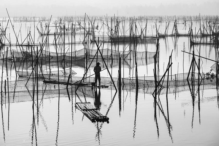 Swamp life Photograph by Bimo Pradityo - Fine Art America