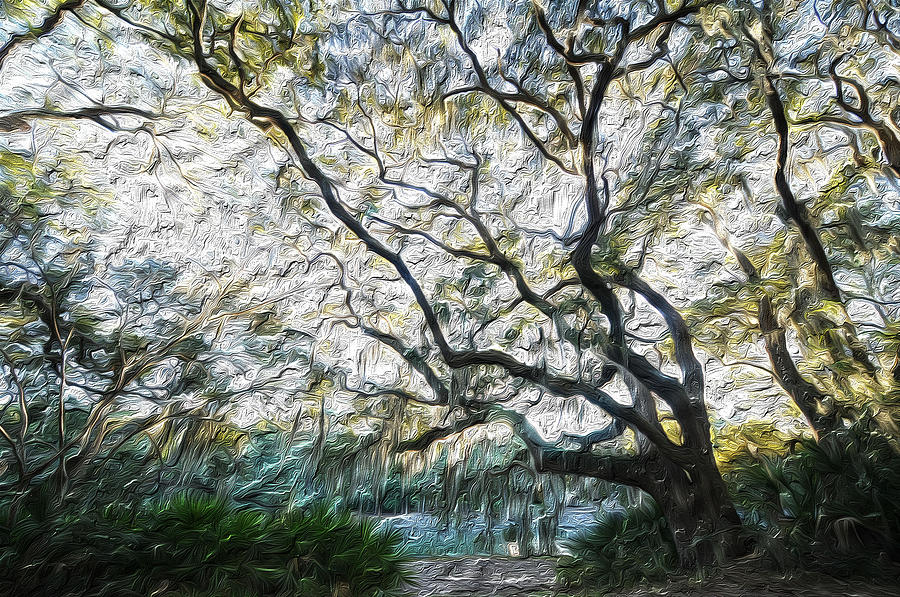 Swamp Trees Painting by Rick Smith | Fine Art America
