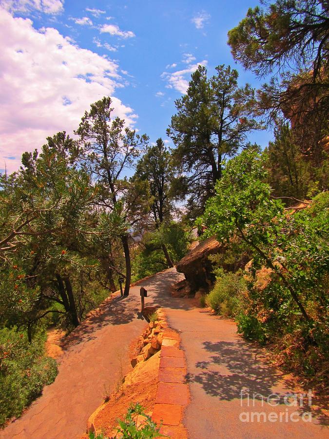 Switchback Path Photograph by John Malone | Fine Art America