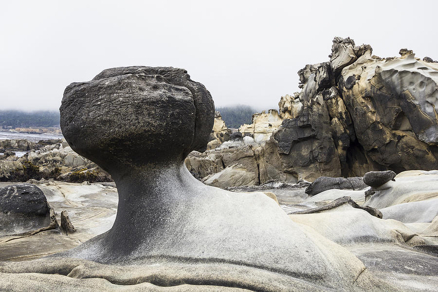 Tafoni Sphinx Photograph by Studio Janney - Fine Art America