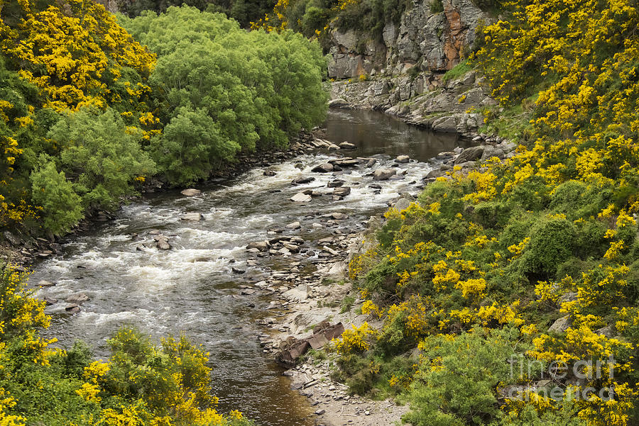 Taieri River Photograph by Bob Phillips - Fine Art America