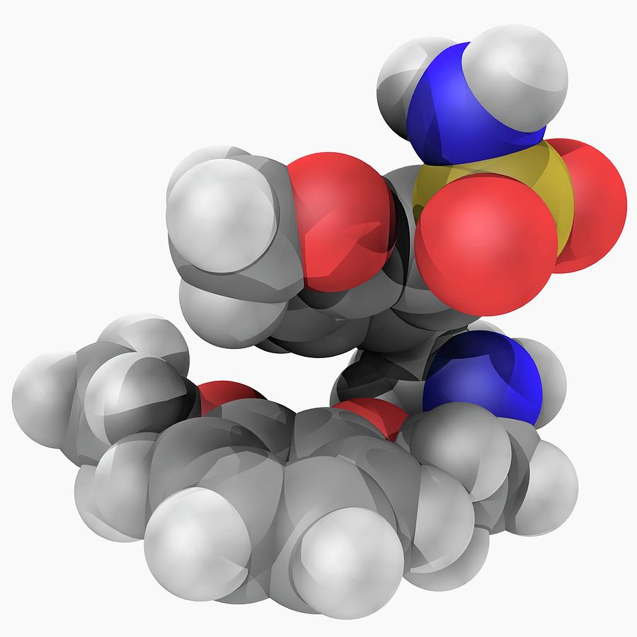 Tamsulosin Molecular Model by Science Photo Library