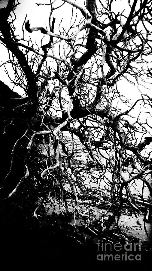 Tangles Digital Art by Charles Davis - Fine Art America