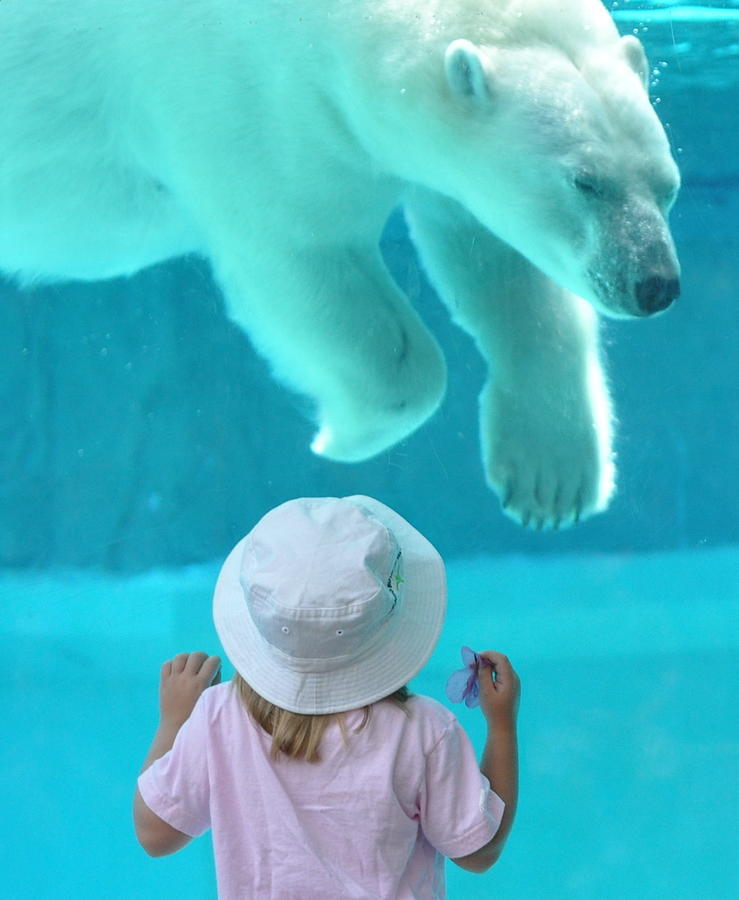 Tanked Photograph by David Flitman - Fine Art America