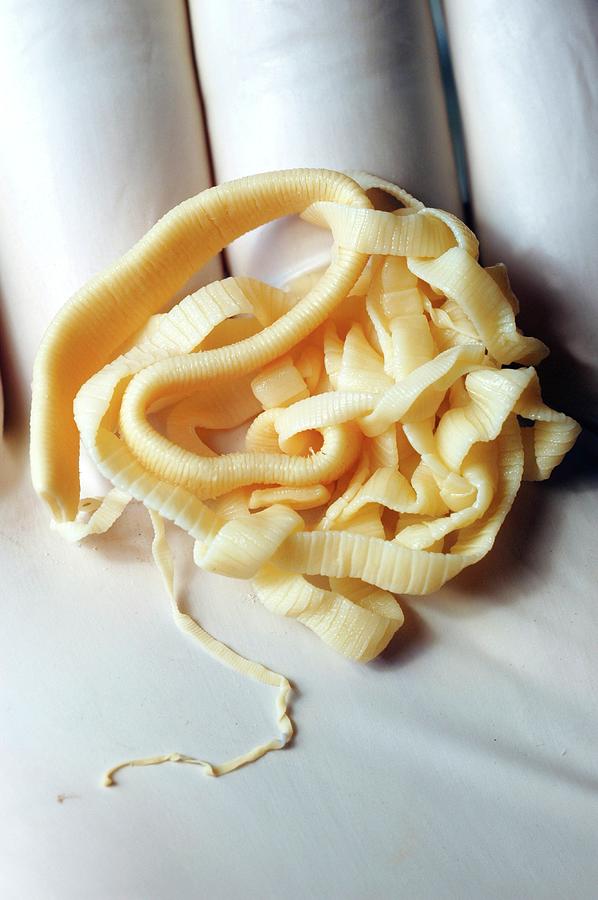 Tapeworm Photograph by Clouds Hill Imaging Ltd/science Photo Library ...