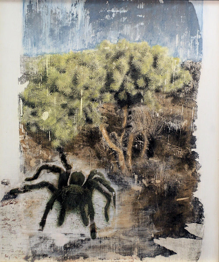 Tarantula Painting by Frederick Fulmer | Fine Art America
