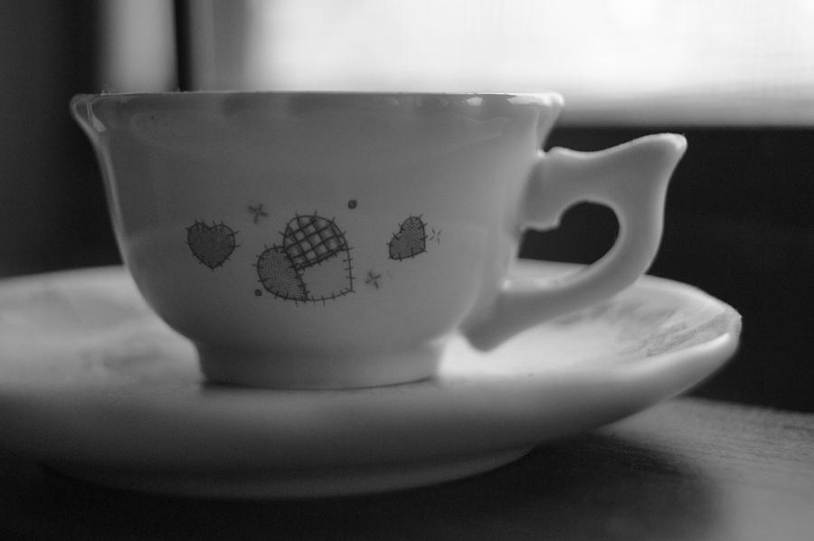 Tea Cup Patch Photograph by Traci Abeyta - Fine Art America