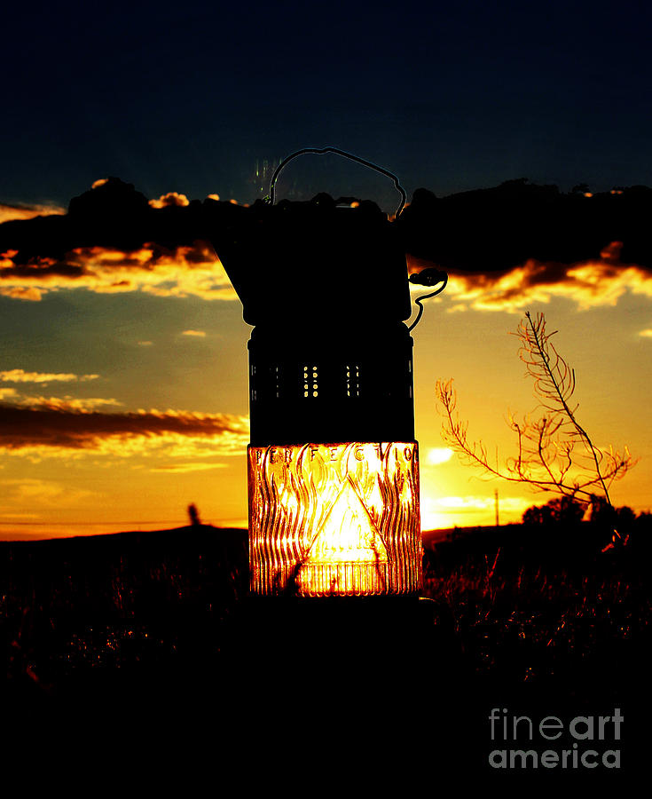 Tea pot perfection Photograph by Wesley Hahn - Fine Art America