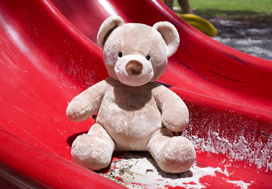 Teddy Bear 6 Photograph by William Patrick - Fine Art America