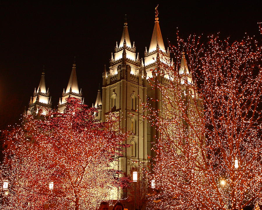 Temple Lights Photograph by Cullen Clark - Fine Art America