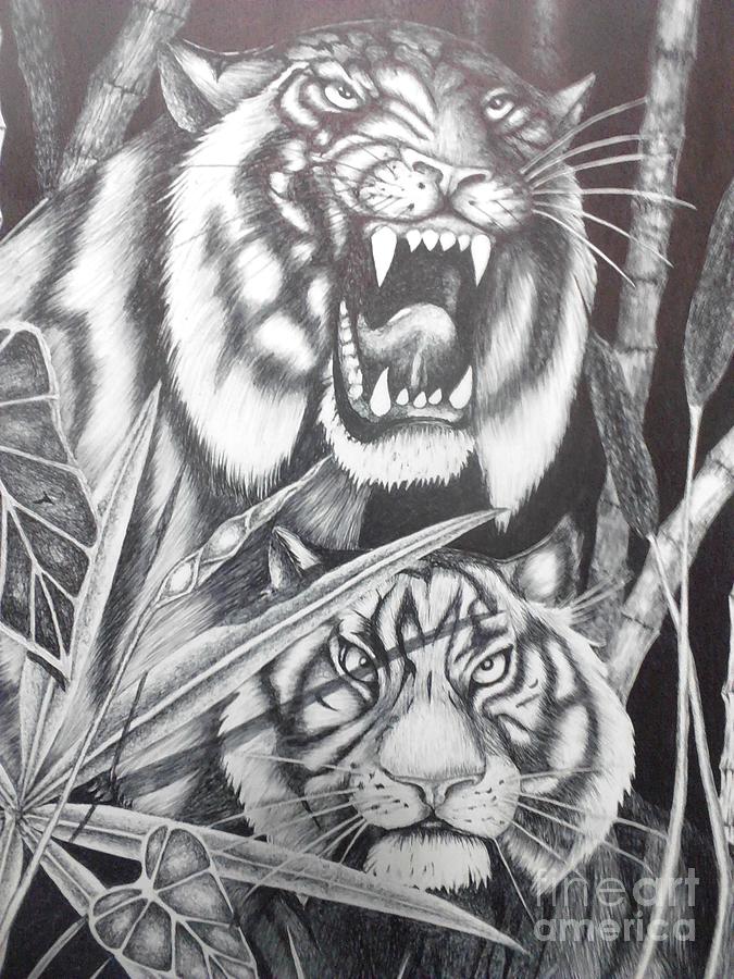 Territory Drawing by Randy McClellan - Fine Art America