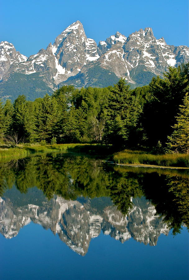 Teton Reflection Photograph by Ron MacArthur - Fine Art America