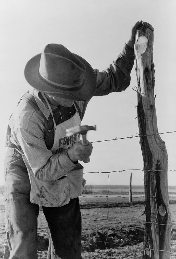 Texas Barbed Wire, 1939 Photograph by Granger - Pixels