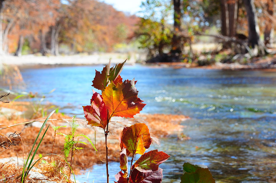 Texas Stream Photograph by Mike Roach - Fine Art America