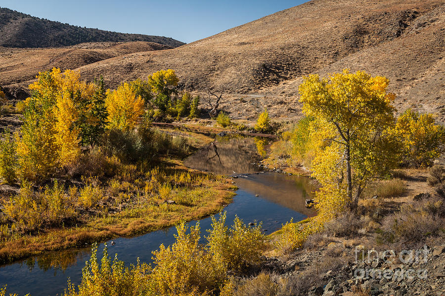 The Bend Photograph by Webb Canepa