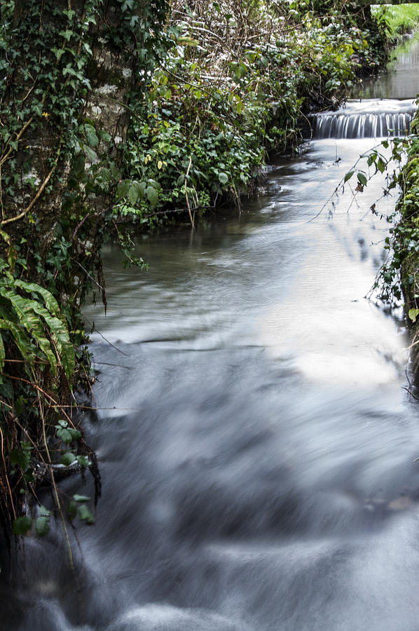 The Brook Photograph by Keith Sutton - Fine Art America