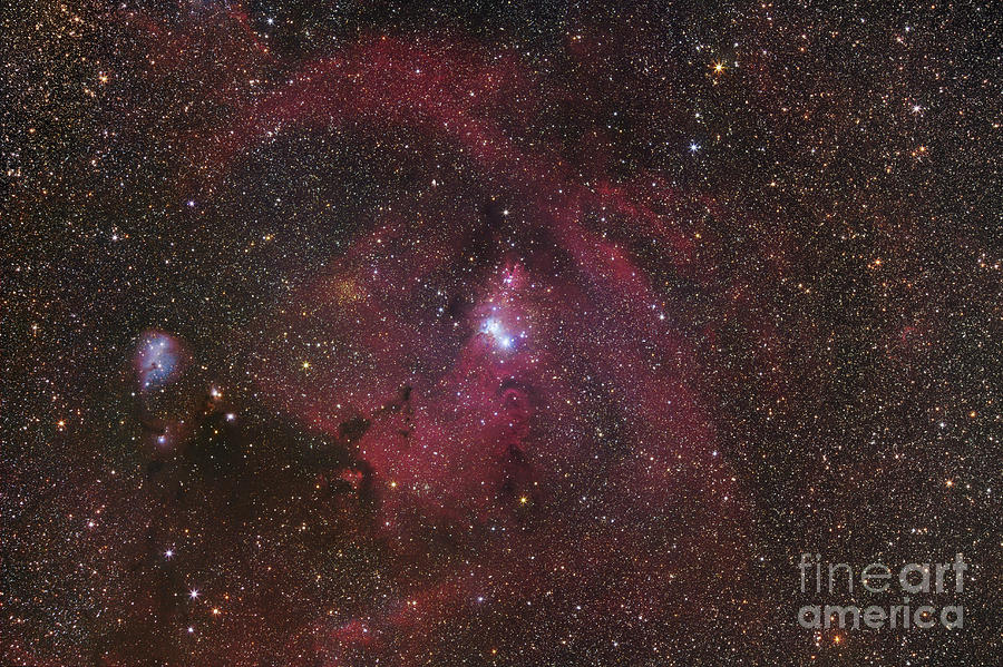The Cone Nebula Region In Monoceros Photograph by Robert Gendler - Pixels